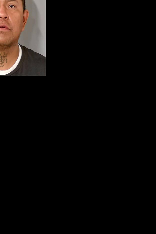 Show Low Police Department log, July 29-Aug. 4 | Show Low | wmicentral.com