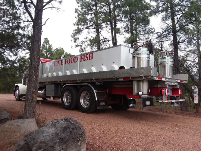 Catfish delivery at Scott's Reservoir | Outdoors And Gardening ...