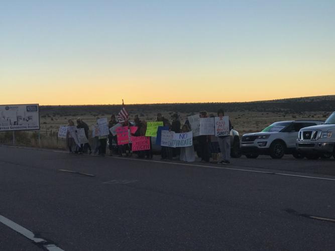 Vax protest at Springerville power plant | | wmicentral.com