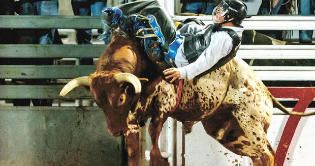 Snowflake Pioneer Days Rodeo | Local Sports | wmicentral.com