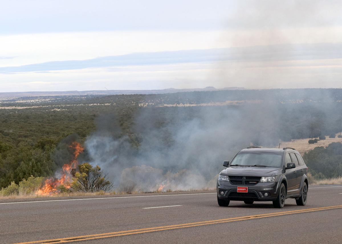 Roadside fires along SR 77 quickly quelled | Local News | wmicentral.com