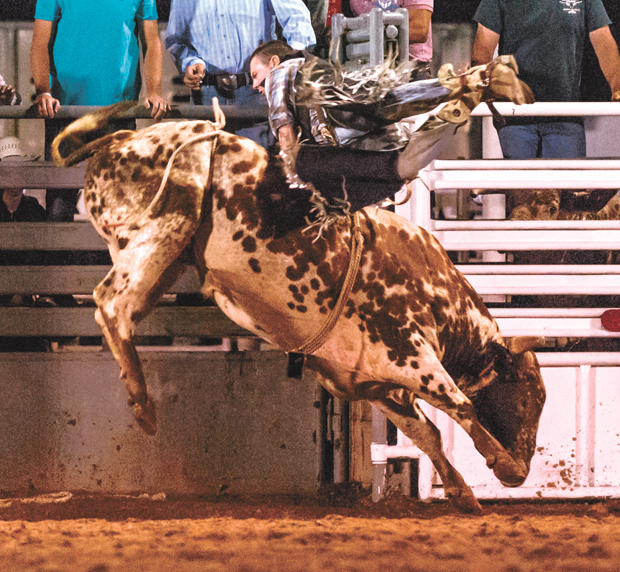 Snowflake Pioneer Days Rodeo | Local Sports | wmicentral.com