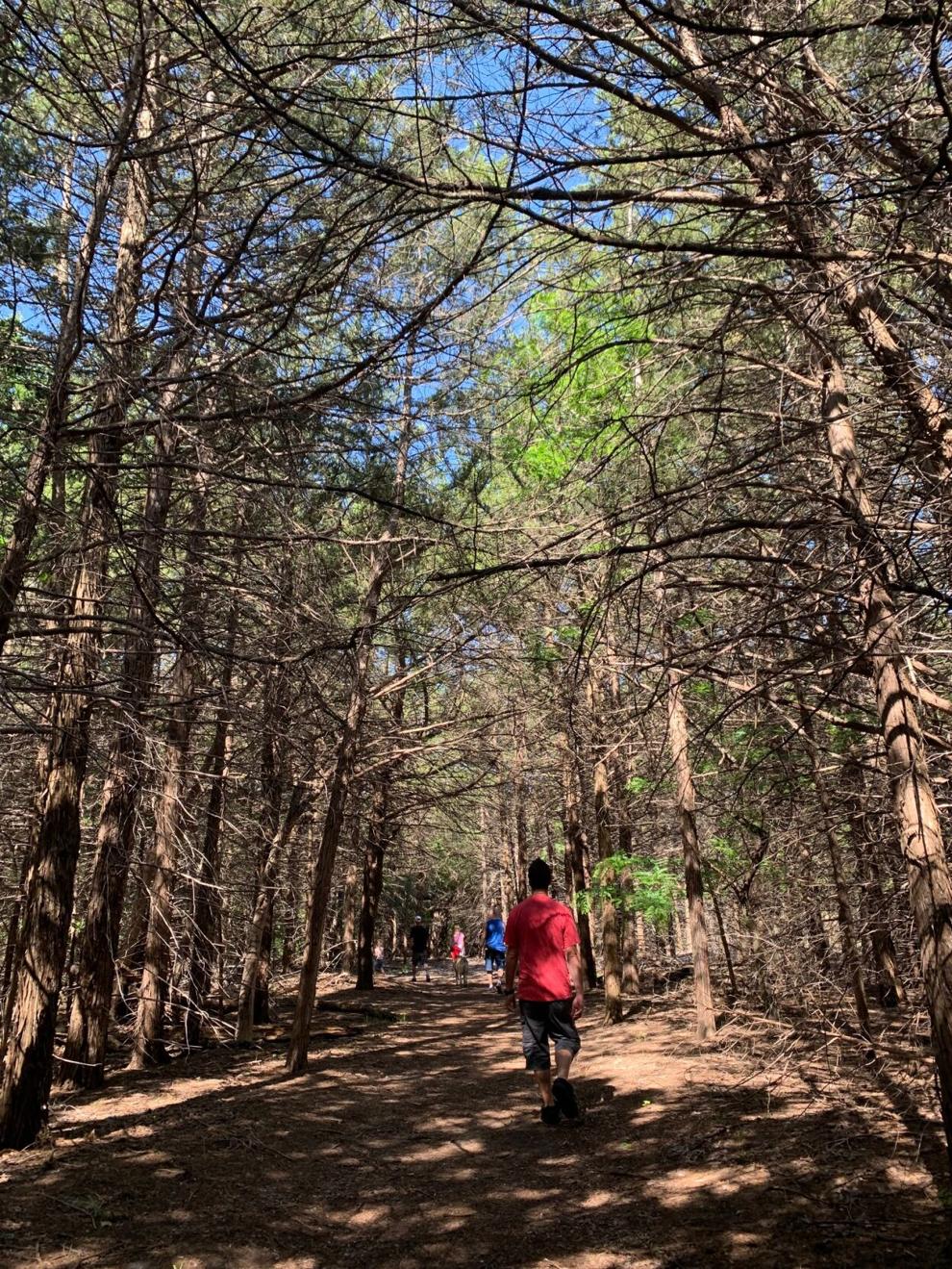 Boiling Springs State Park hosts First Day Hike Jan. 1 | News ...