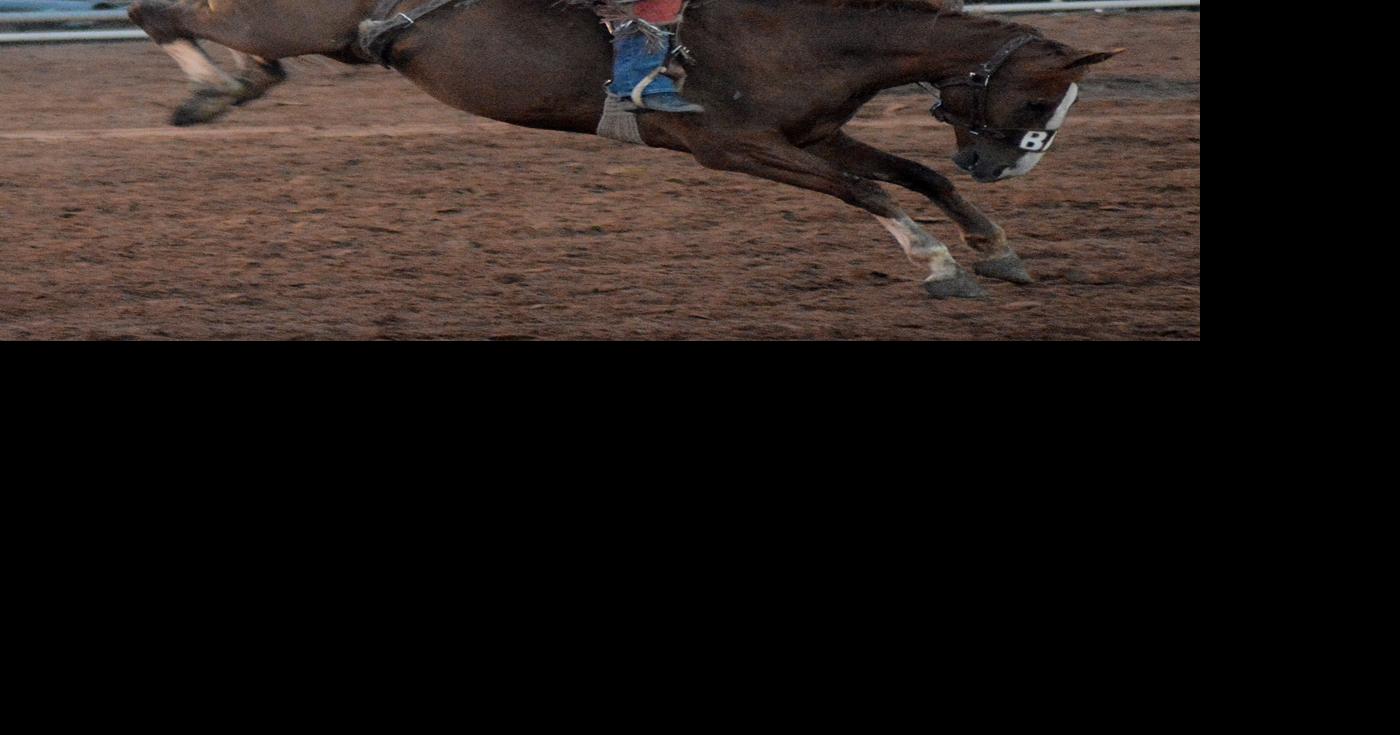 Final results from the 86th Woodward Elks Rodeo | News | woodwardnews.net