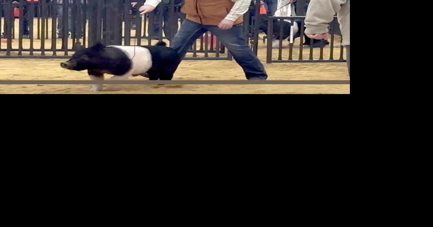 Woodward FFA chapter members show at Seth Rutledge Winter Classic ...