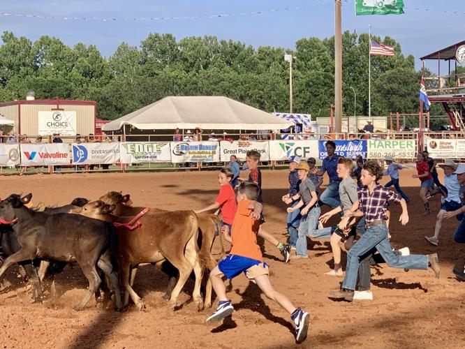 Elks Rodeo Photo Gallery | | woodwardnews.net