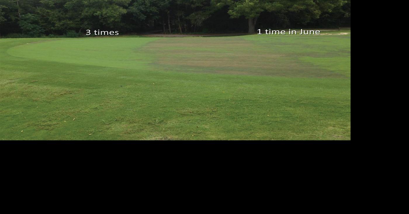 Local golf course part of national study: New chemical shows promise in ...