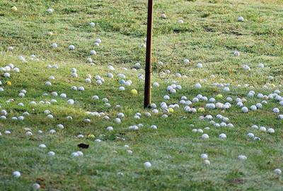 Golf ball drop a popular event | News | woodwardnews.net