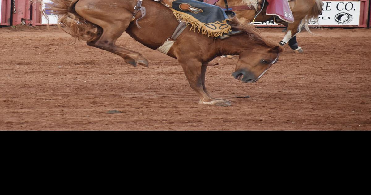 Big rides top second night of Elks Rodeo | Local News | woodwardnews.net