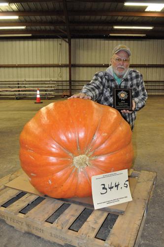 largest pumpkin weigh