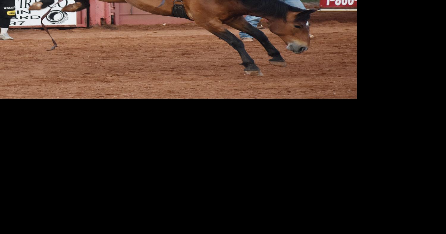 Elks Rodeo offers week of activities | Community | woodwardnews.net