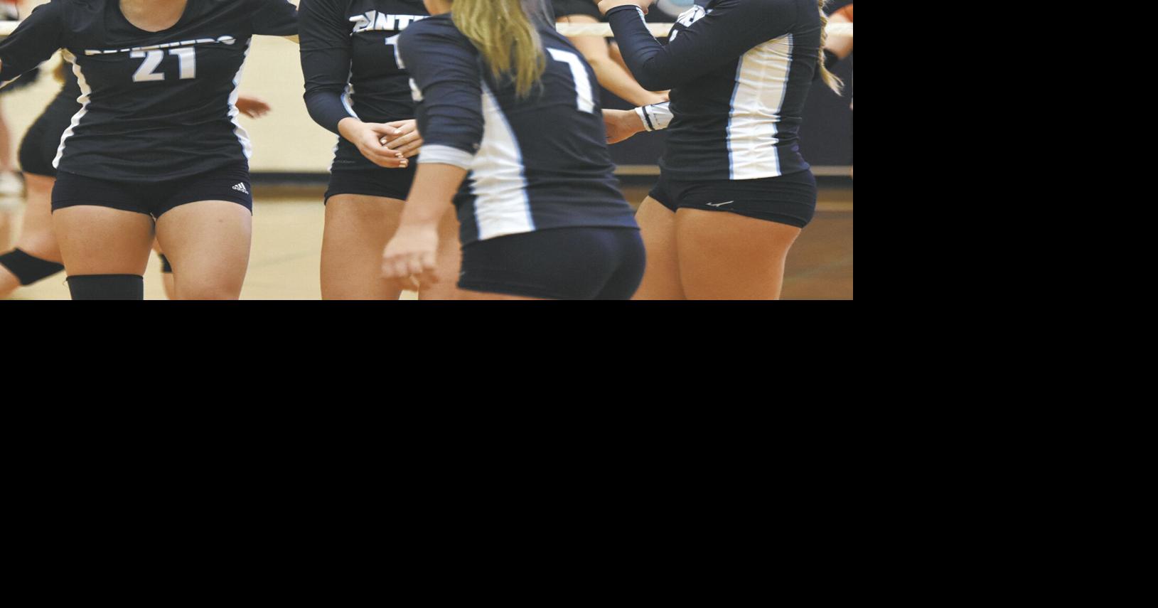 Panthers go down swinging in district finals | Sports | wpnews.com