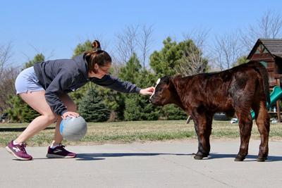 More time being spent at home | People | wpnews.com