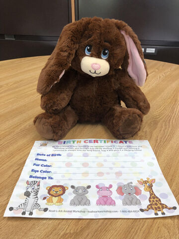 Make-A-Bear program set for June 7 at Stahl Library | News | wpnews.com