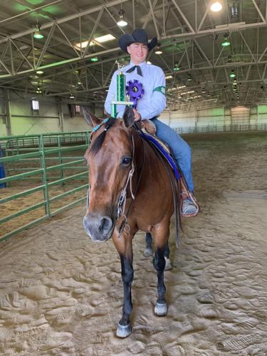 Gallery: Honorees at the 2022 State 4-H Horse Show | News | wpnews.com