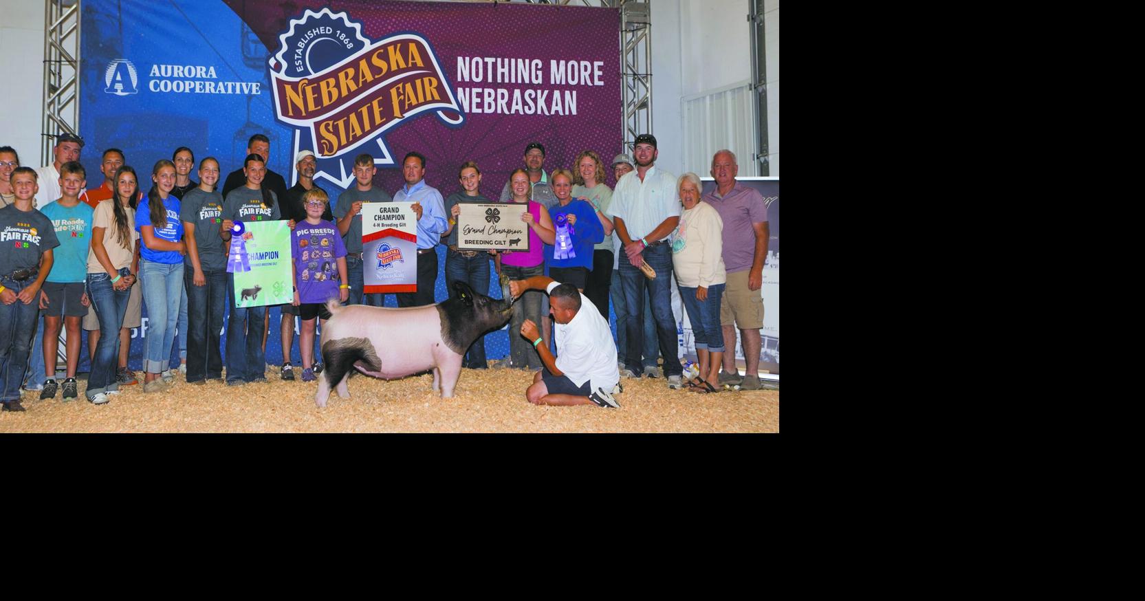 Nebuda crowned Breeding Gilt champion | Top Stories | wpnews.com