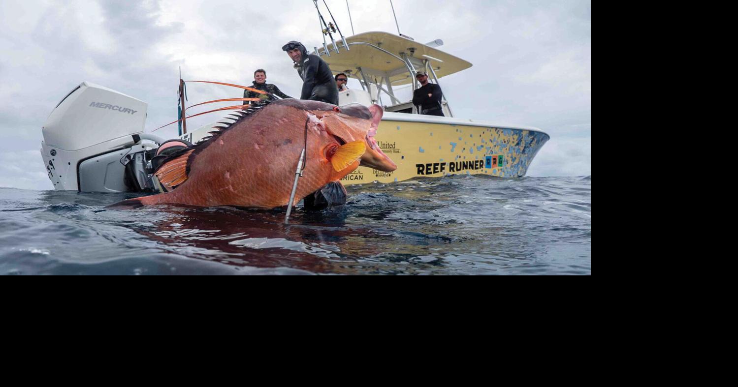 Diver Down | Archive | wrightsvillebeachmagazine.com