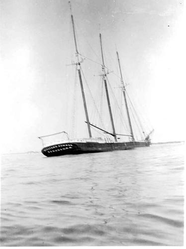 The mystery of the William H. Sumner Uncovered | Archive ...