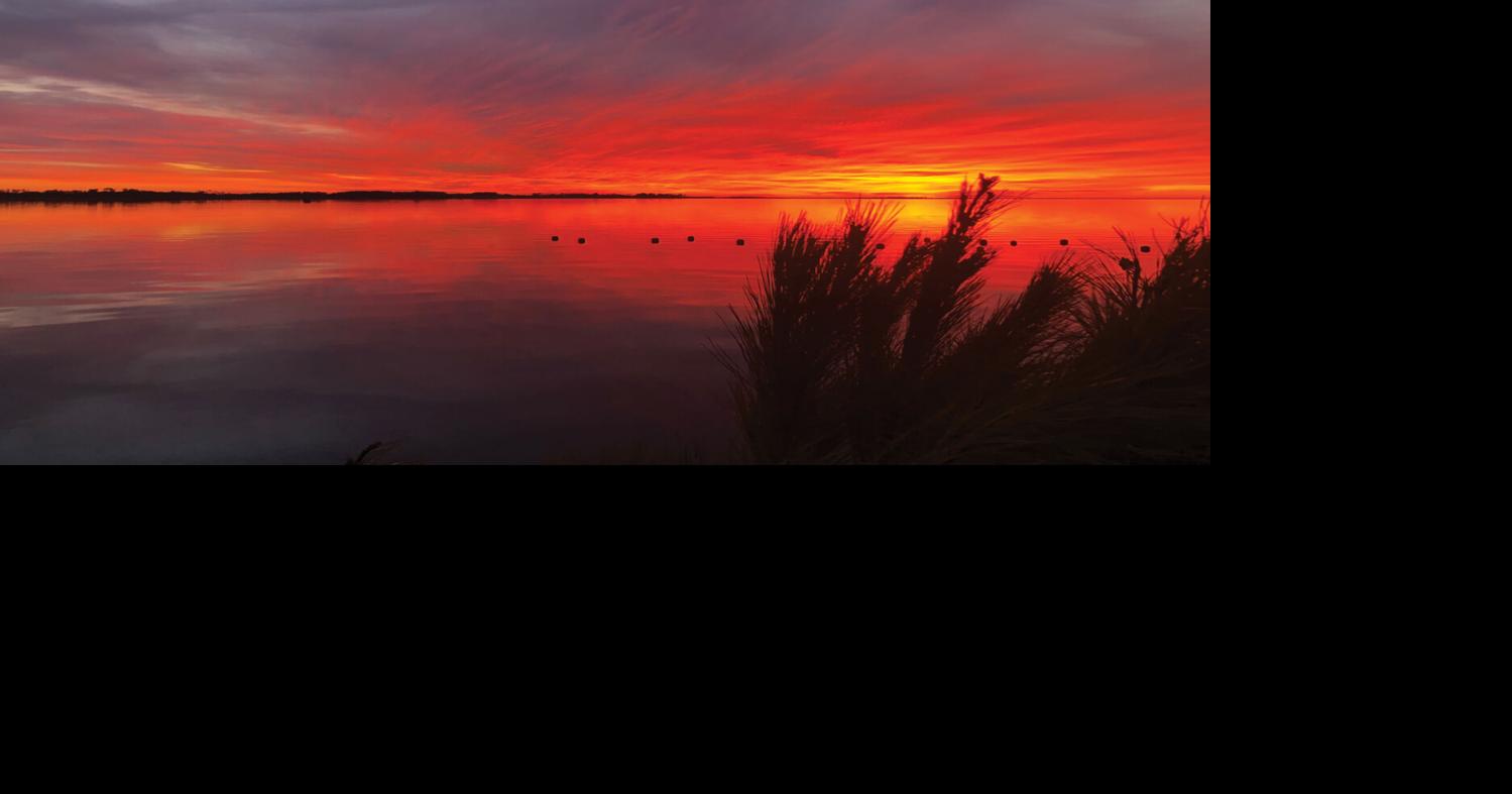 Decoys on the Water | Archive | wrightsvillebeachmagazine.com