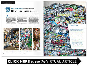Blue Bin Basics | Archive | wrightsvillebeachmagazine.com