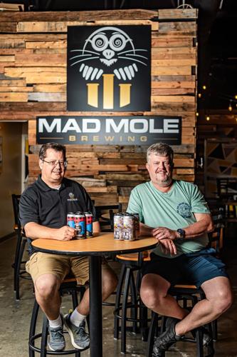 Shine On Tap: Mad Mole Brewing's Solar-Powered Brews | Pub Scout ...