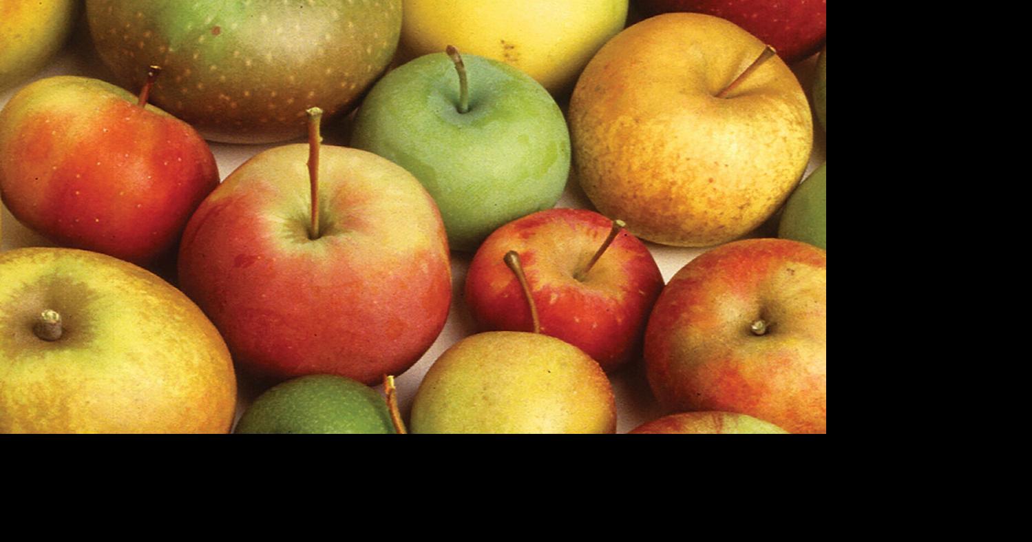 All About Apples | Archive | wrightsvillebeachmagazine.com