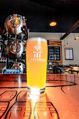 Shine On Tap: Mad Mole Brewing's Solar-Powered Brews | Pub Scout ...