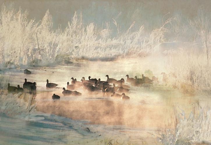 Duck Hunt on Dead Man’s Bay | Archive | wrightsvillebeachmagazine.com