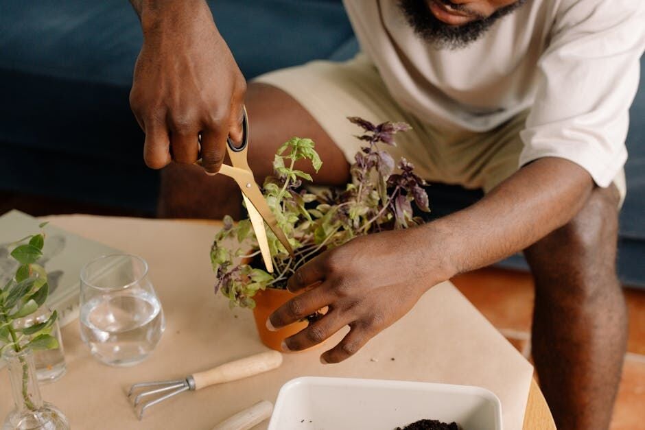 How to Grow Herbs Indoors Without Soil: A Beginner's Hydroponics Guide ...