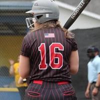 Hot bats, pitching lead Webster to softball win | Sports | wvecho.com