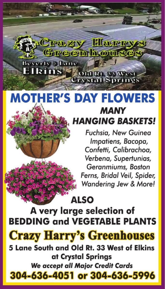 CRAZY HARRYS GREENHOUSE | Other | wvnews.com