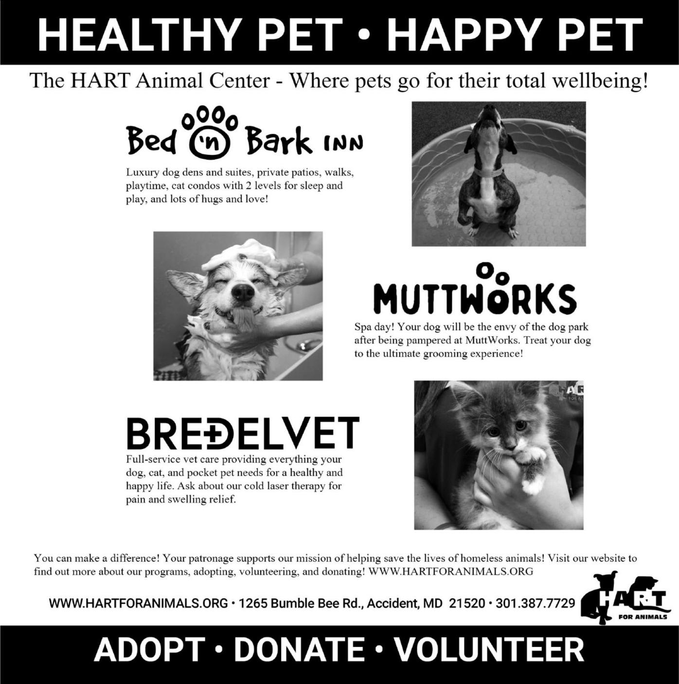 HART FOR ANIMALS, INC. | Other | wvnews.com