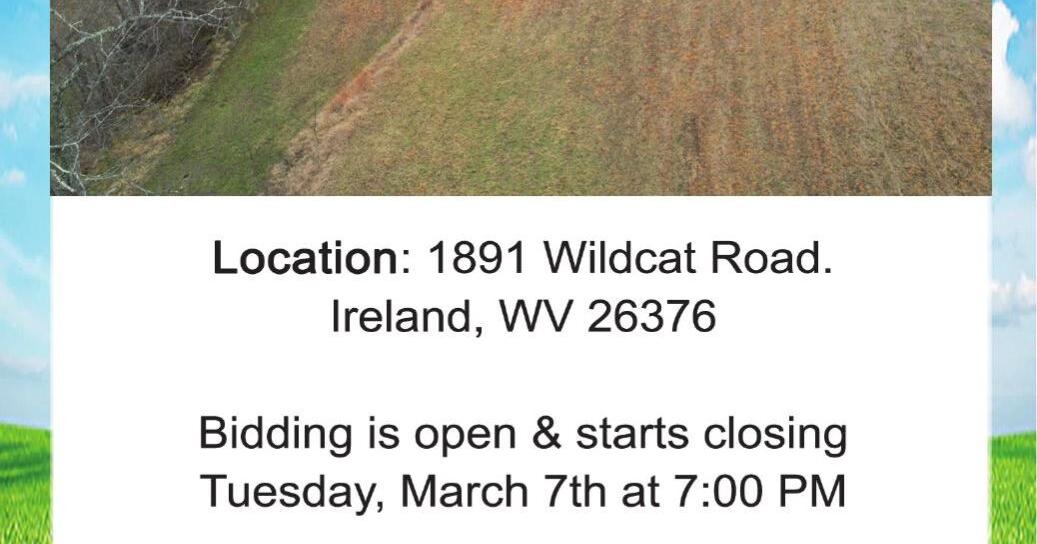 KAUFMAN REALTY & AUCTIONS OF WV | Other | wvnews.com