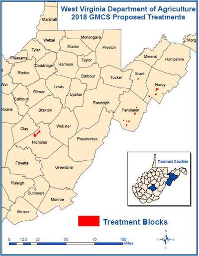 West Virginia Department of Agriculture will begin spraying for gypsy ...