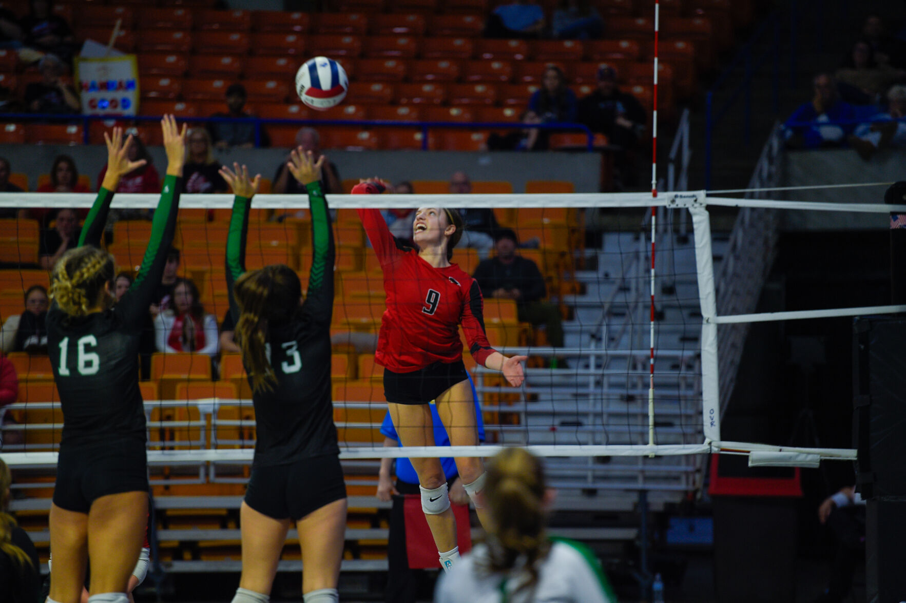 Class AAA champion Bridgeport dominates All-Big 10 volleyball team ...