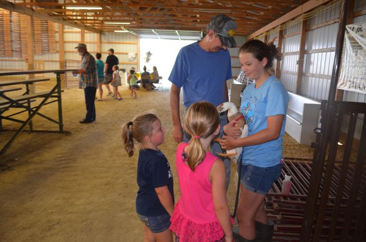 Taylor County Fair letting kids have fun and show off their hard work ...