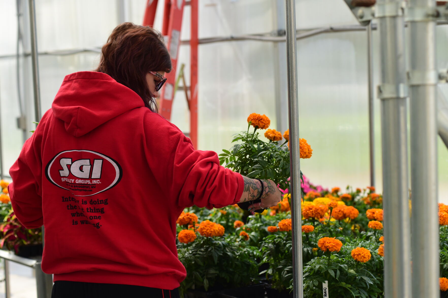Award-winning South Harrison High FFA program opens greenhouse sales ...