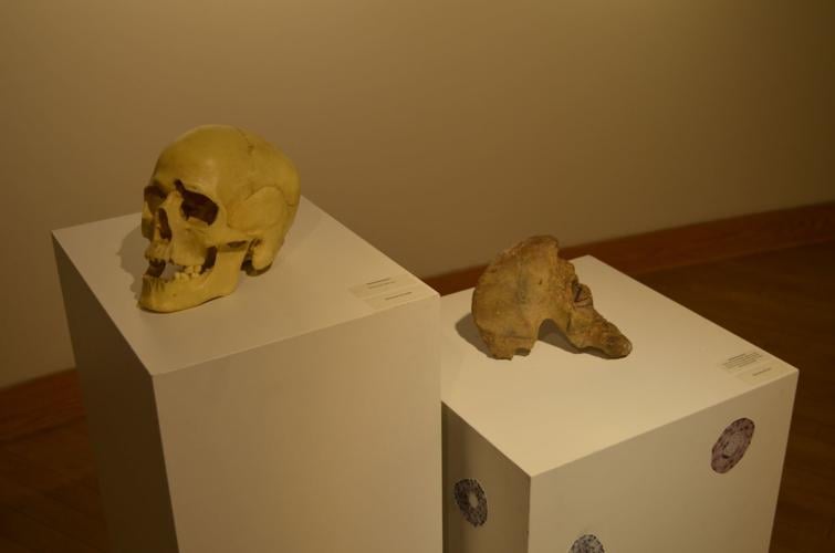 Fairmont Pride: The Art of Evidence exhibit | Fairmont News | wvnews.com