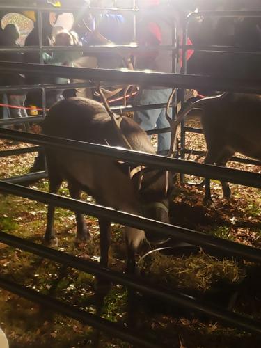 Gallipolis City Park lights up the season with 10th holiday light show ...