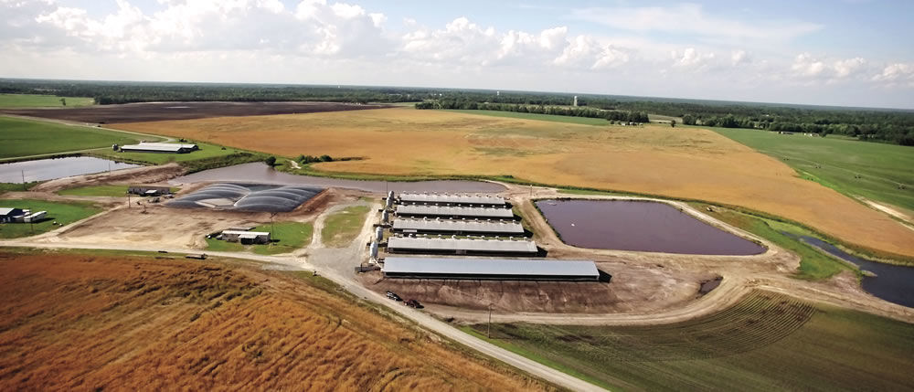 Dominion Energy announces goal to achieve net-zero carbon, methane ...