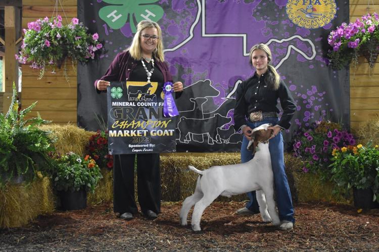 Photo Gallery: Top goats at the Mineral County Fair | Mineral County WV ...