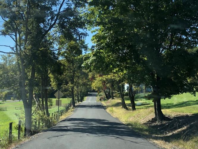 Some residents not happy with 'fog sealing' on Knobley | Mineral County ...