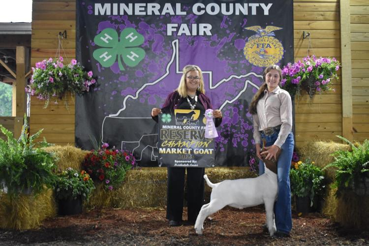 Photo Gallery: Top goats at the Mineral County Fair | Mineral County WV ...