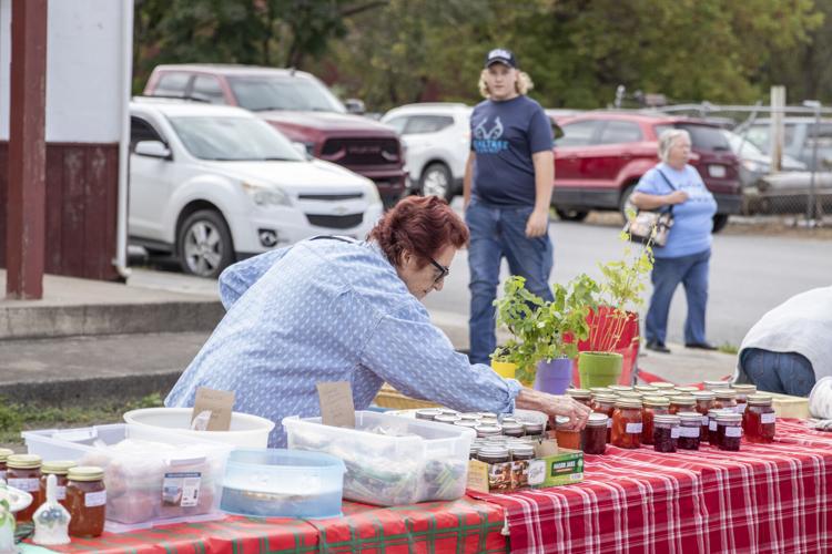 Nationally recognized Roadkill Cook-off is Marlinton's biggest day of ...