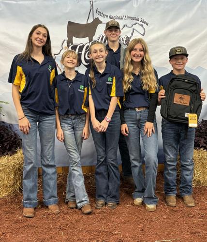Harrison 4-H’ers compete in Eastern Regional Limousin Show Judging ...