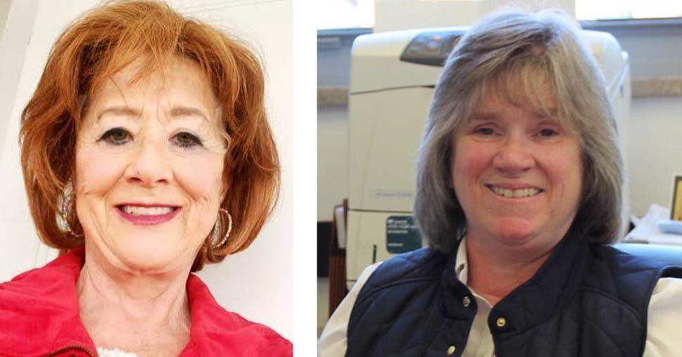 Petitto, local GOP Executive Committee dealt setback in challenge of ...