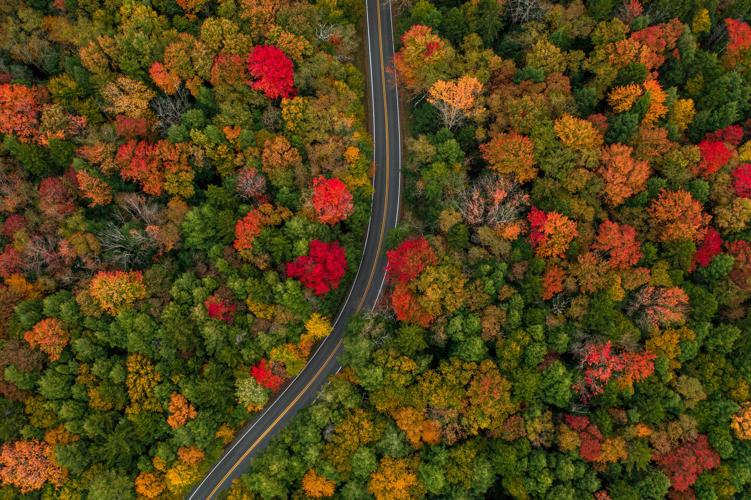 West Virginia Department of Tourism releases 2023 fall foliage map | WV ...