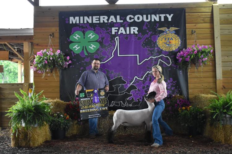 Photo Gallery: Top goats at the Mineral County Fair | Mineral County WV ...