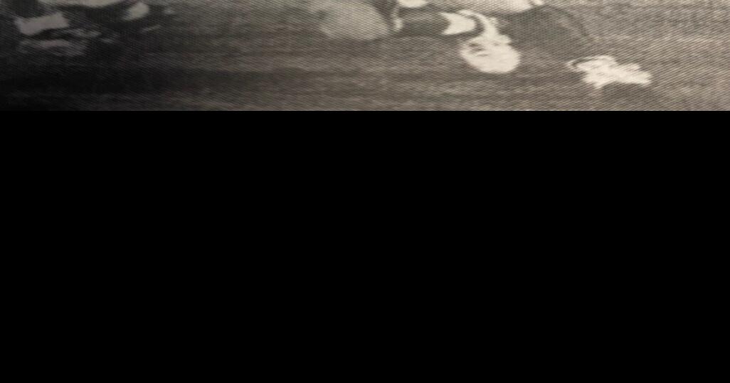 Jeremy Buffington set to become Viking Hall of Famer | Jackson Star and ...