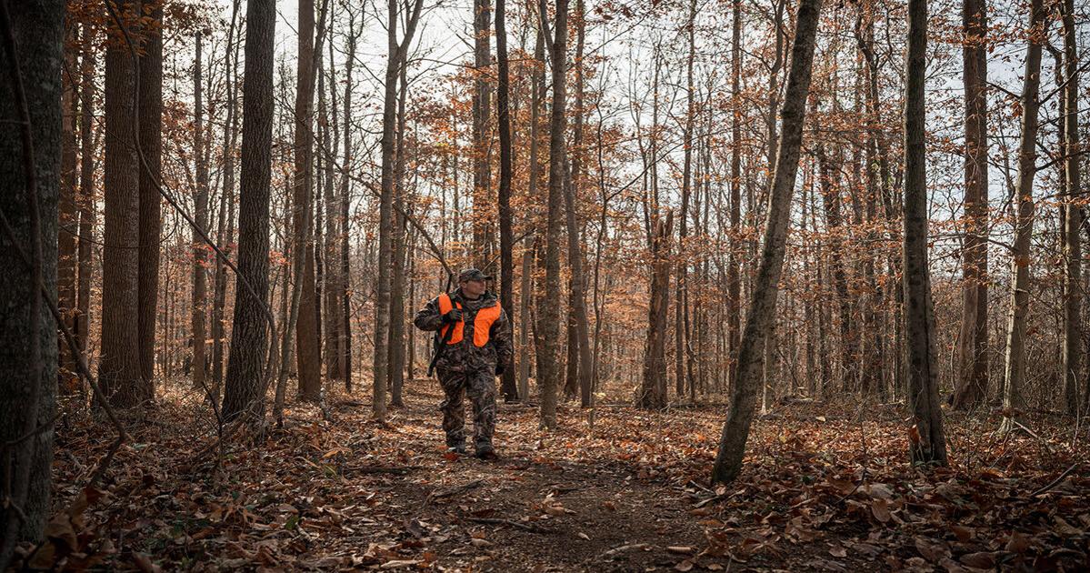 West Virginia DNR: Antlerless deer, bear hunting seasons set to start ...